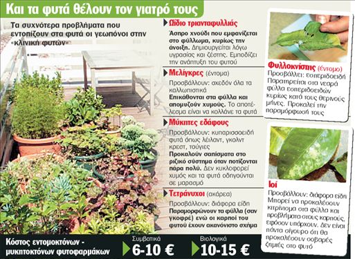 Πρώτες βοήθειες για άρρωστα φυτά - ΤΑ ΝΕΑ