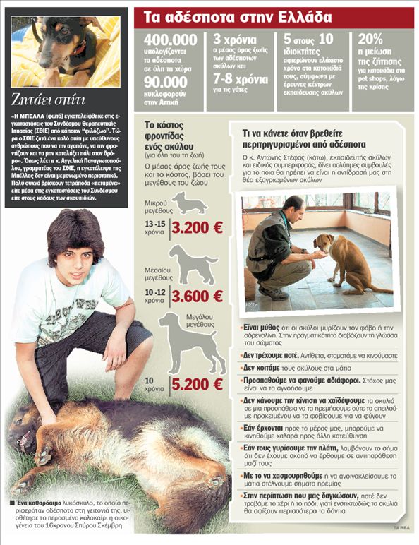 Αδέσποτος, ο καλύτερος φίλος του ανθρώπου - ΤΑ ΝΕΑ