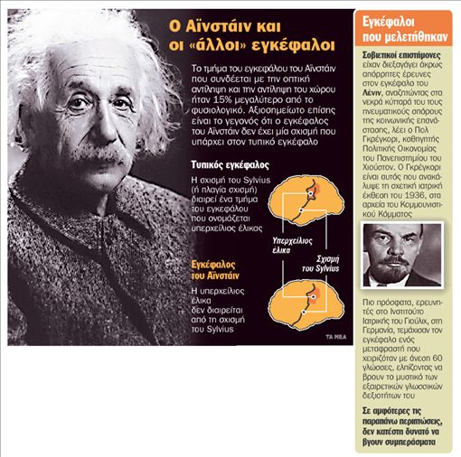 Ο ξεχωριστός εγκέφαλος του Αϊνστάιν - ΤΑ ΝΕΑ