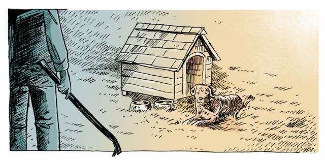 Κακοποίηση ζώων: Η μαύρη βίβλος της βαρβαρότητας - ΤΑ ΝΕΑ