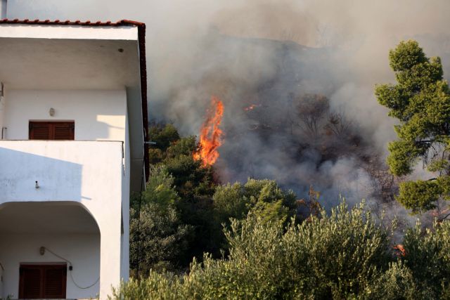 Κάηκαν σπίτια, ελιές και πεύκα στη Χαλκιδική, ολονύχτια η μάχη με τις ...