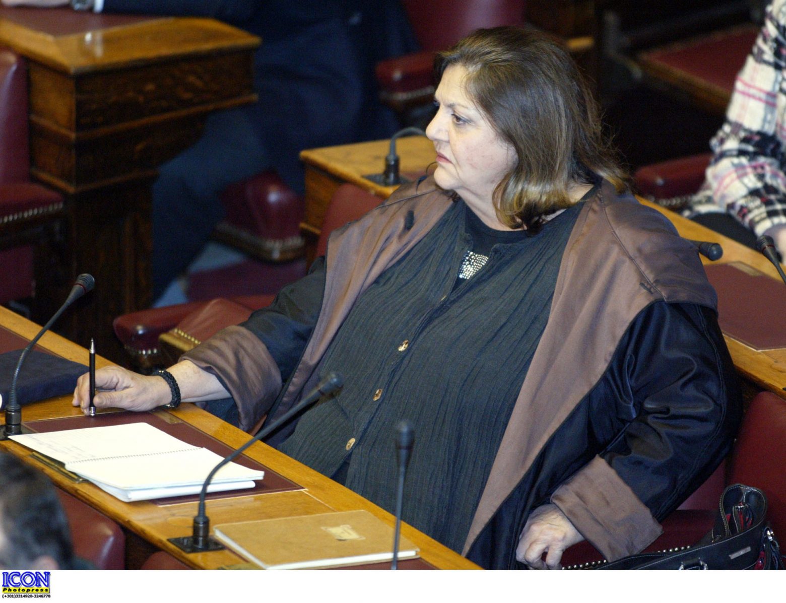 Ελσα Παπαδημητρίου: Η πορεία της στον πολιτικό στίβο και το όραμα για ...