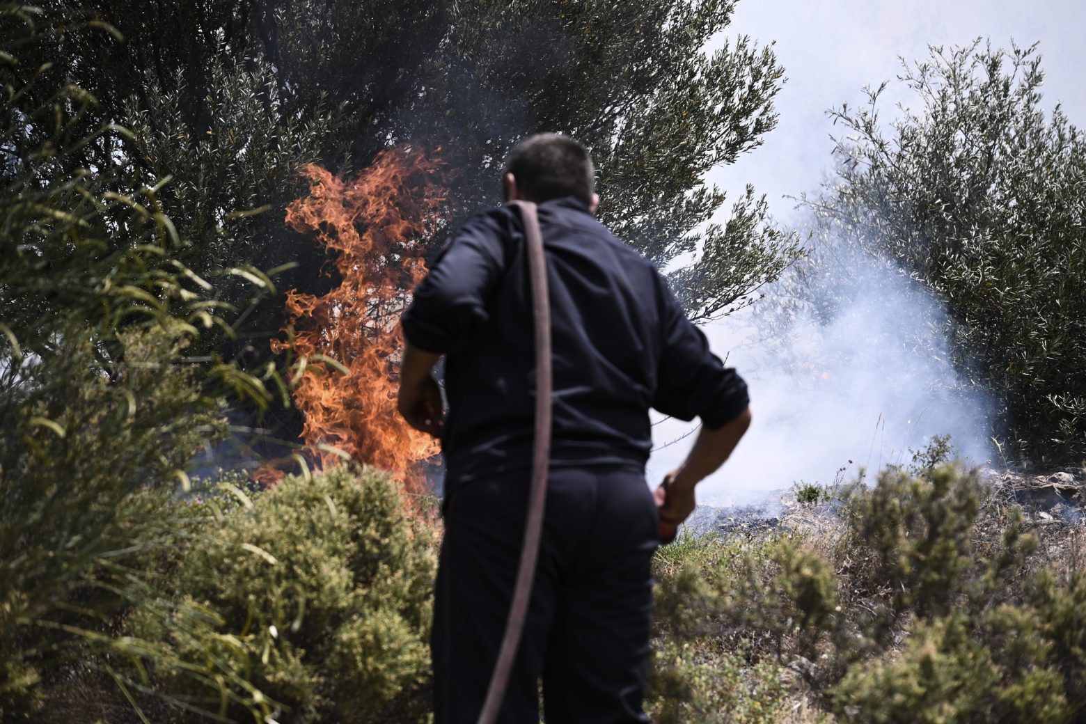 Φωτιά στην Εύβοια: Βελτιωμένη η εικόνα, χωρίς ενιαίο μέτωπο ...
