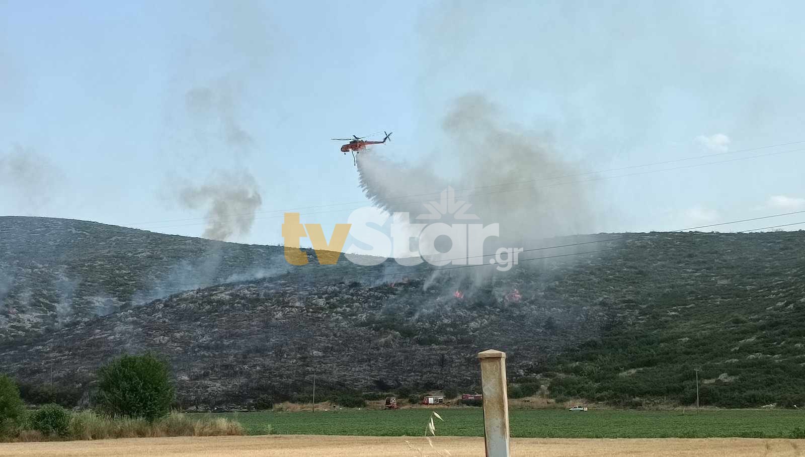 Φωτιά στο Ακόντιο Βοιωτίας – Στη μάχη της κατάσβεσης και εναέρια μέσα ...