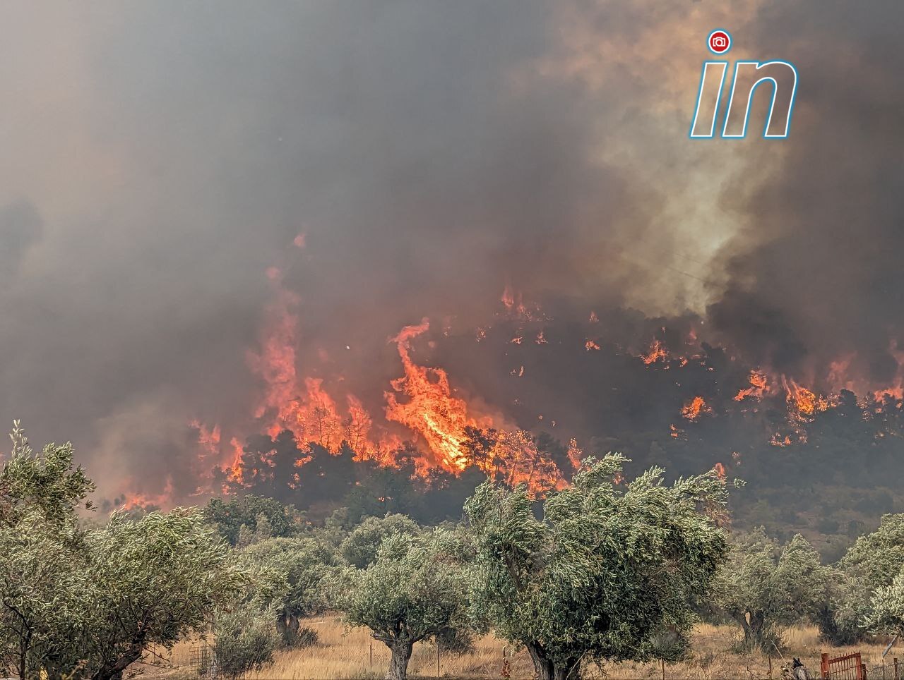 Φωτιές: Τουλάχιστον 18 απανθρακωμένοι μετανάστες στη Δαδιά - Δύο ...
