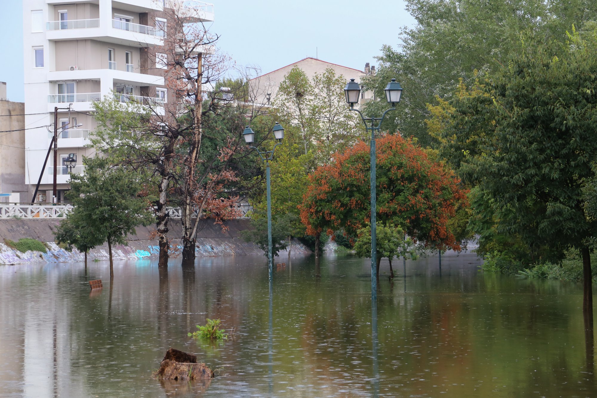 Δήμαρχος Φαρκαδόνας: «Από τα Τρίκαλα μέχρι την Λάρισα βλέπεις μια ...