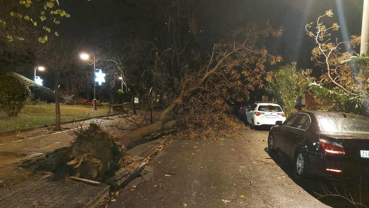 Πτώσεις δέντρων, ζημιές σε αυτοκίνητα, σπασμένες κολώνες - Το ...