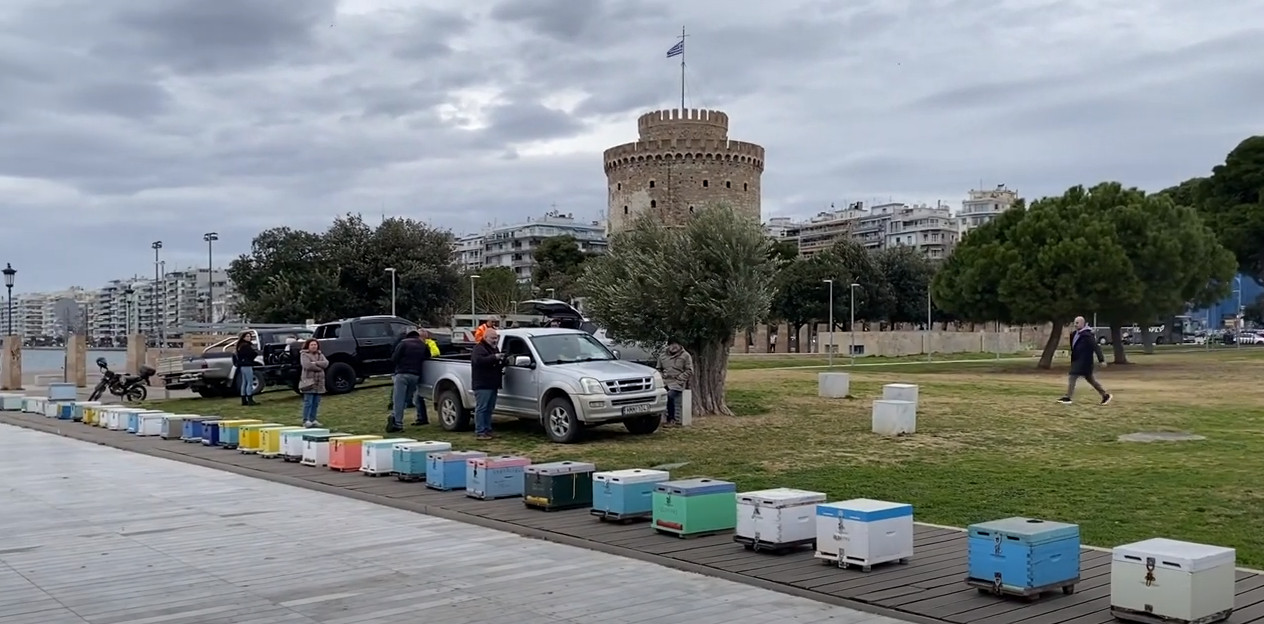 Αγρότες: Συμβολική διαμαρτυρία μελισσοκόμων με δεκάδες άδειες κυψέλες ...