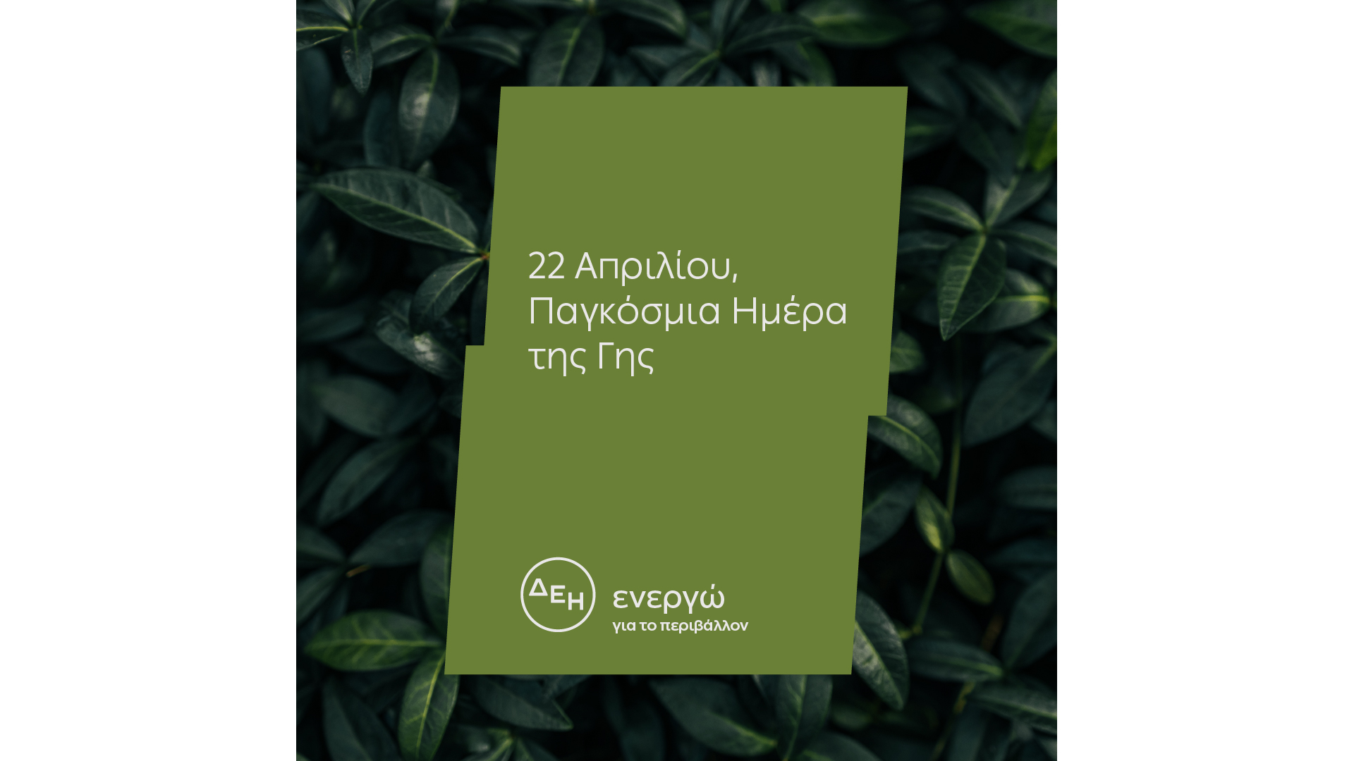 Ημέρα της Γης: Για 4η χρονιά η ΔΕΗ ηλεκτροδοτεί 4,3 εκατ. νοικοκυριά ...