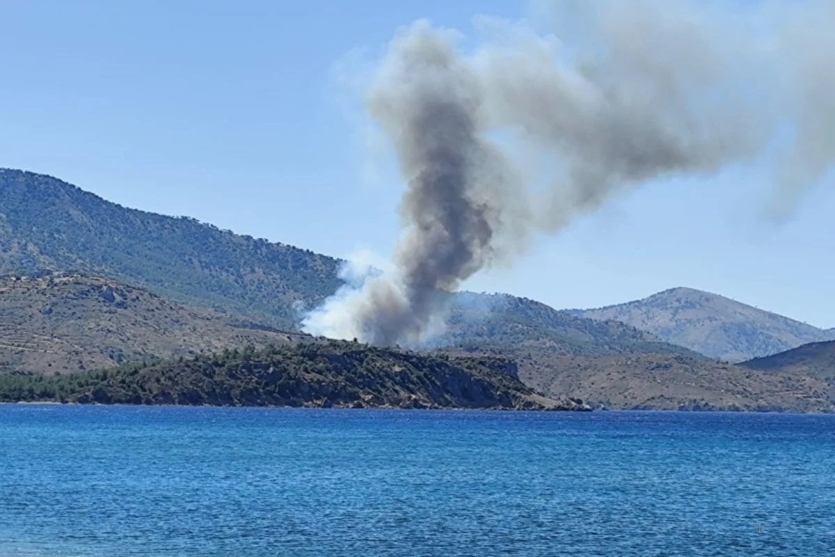 Εκτός ελέγχου η φωτιά στην Χίο – Πολλαπλά τα μέτωπα, σπεύδουν δυνάμεις ...