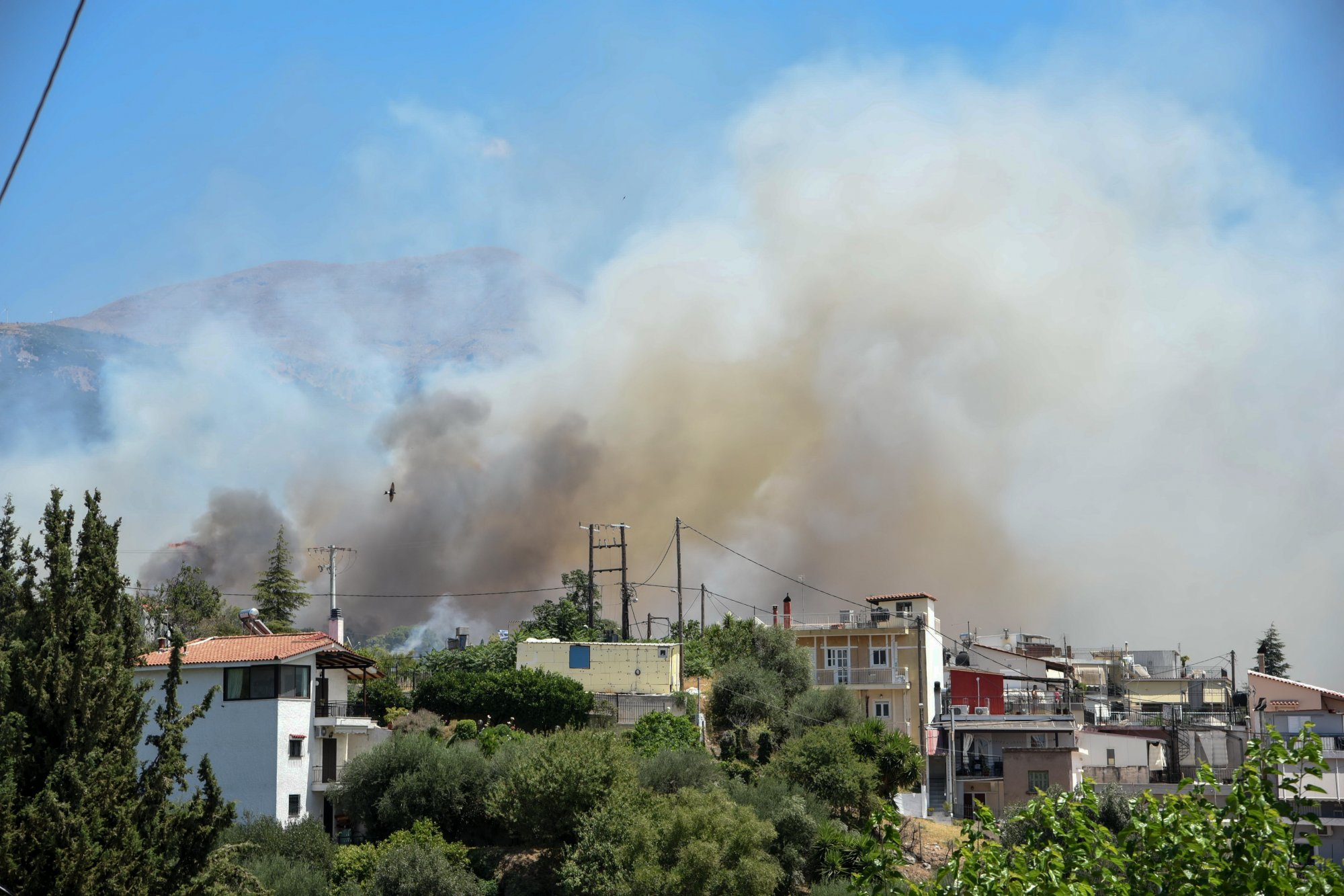 Φωτιά στην Πάτρα: Κάηκαν σπίτια και αυτοκίνητα – Κλειστό μέχρι νεοτέρας ...