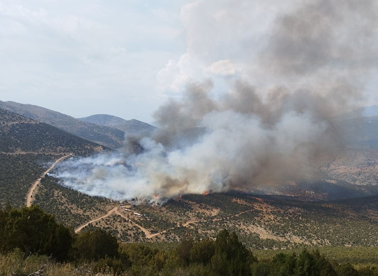 Μεγάλη φωτιά στη Φωκίδα – Εντολή εκκένωσης στο χωριό Μισόκαμπος - ΤΑ ΝΕΑ
