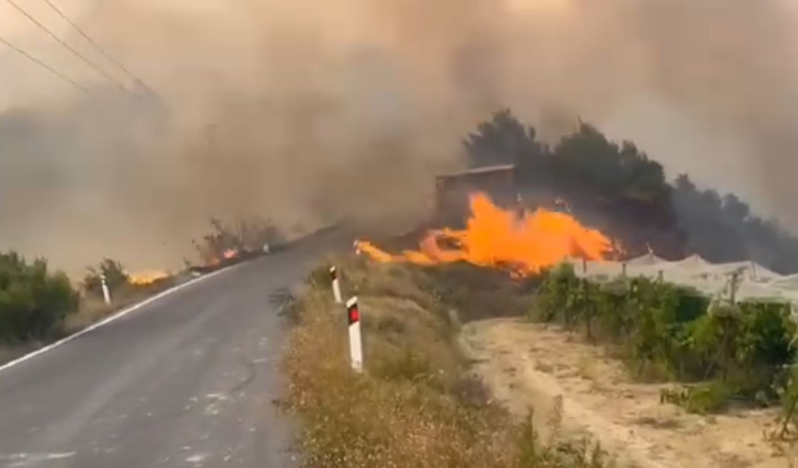 Φωτιά στην Κορινθία: Ανεξέλεγκτο το πύρινο μέτωπο