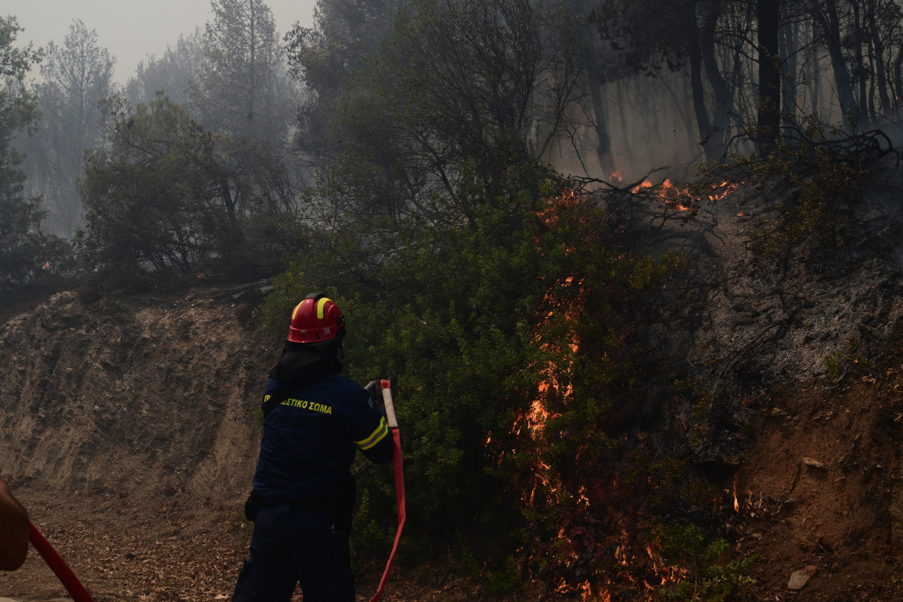 Πυροσβέστης πέθανε την ώρα που έσβηνε φωτιά στη Θεσσαλονίκη