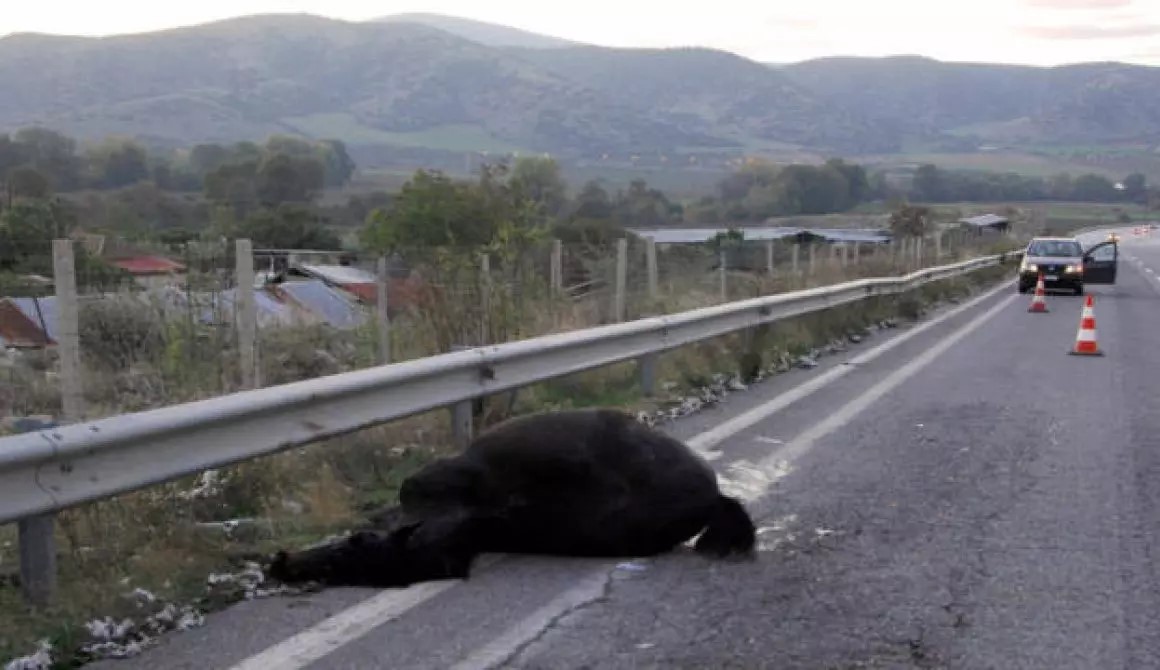 Μυτιλήνη: Πέθανε ο 19χρονος που τραυματίστηκε βαρύτατα σε τροχαίο με ...
