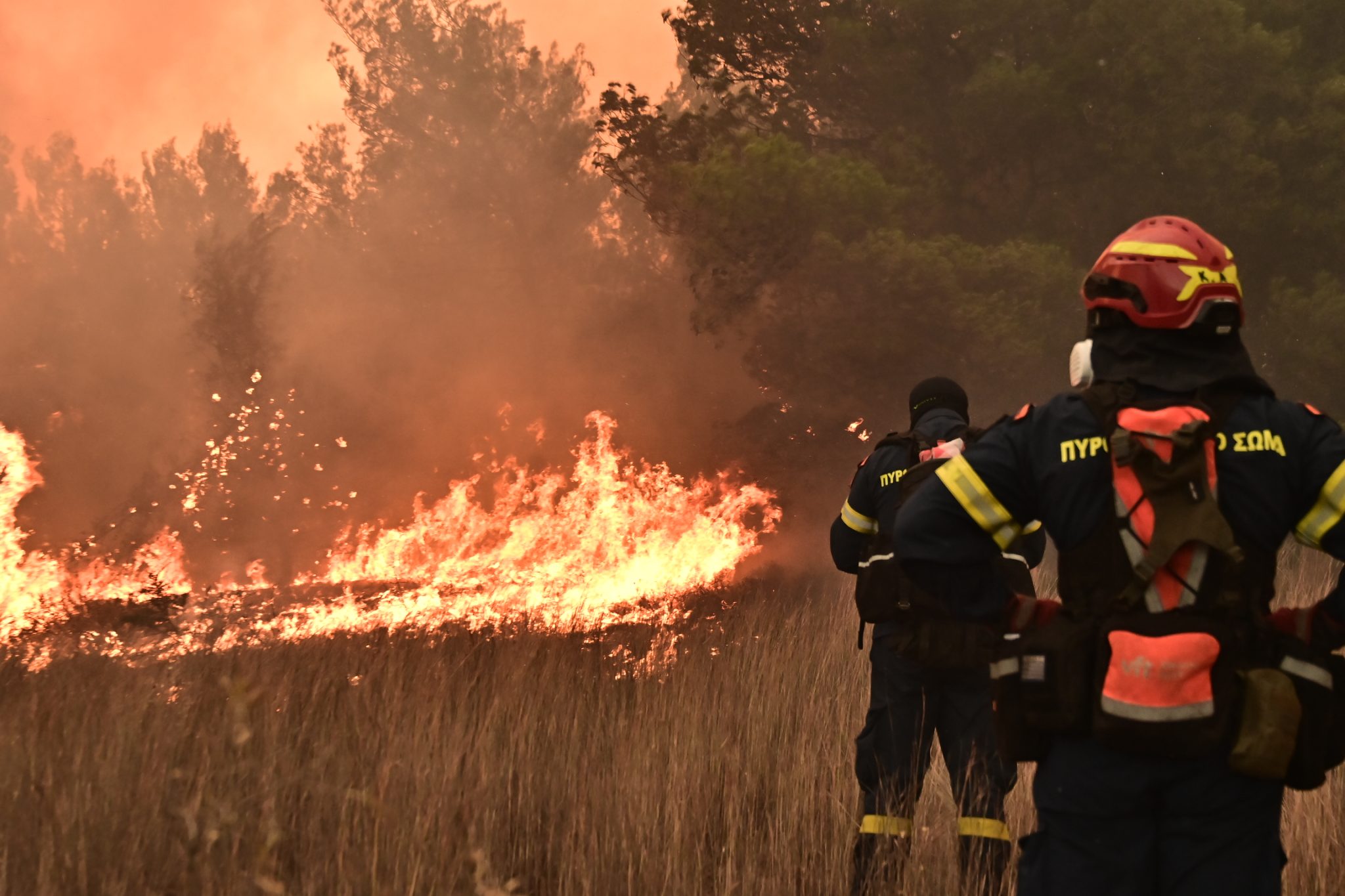 ΕΙΔΗΣΕΙΣ Αρκαδία - ΤΑ ΝΕΑ