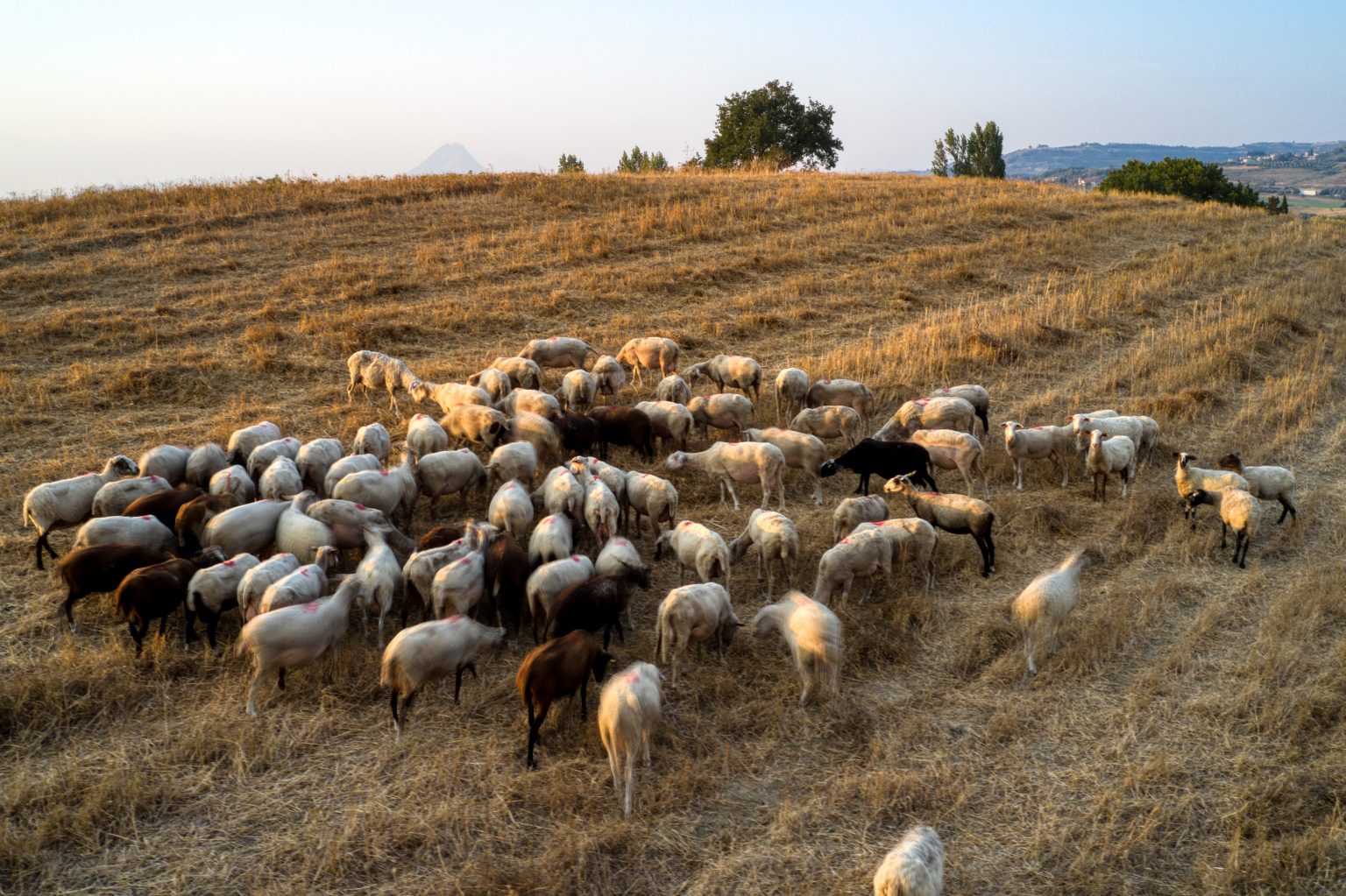 Ισως υπήρχε ζωή στον Αρη για εκατομμύρια χρόνια - ΤΑ ΝΕΑ