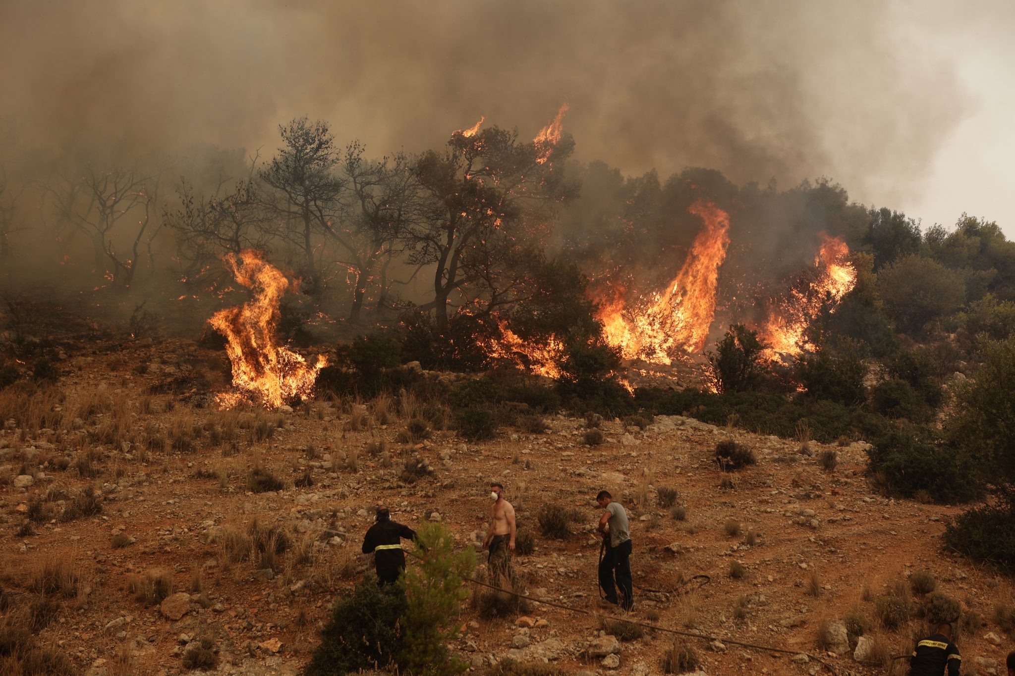 Εσείς ξέρετε τι είναι ο τορμοσυνάπτης; - Το χρησιμοποιείτε καθημερινά ...
