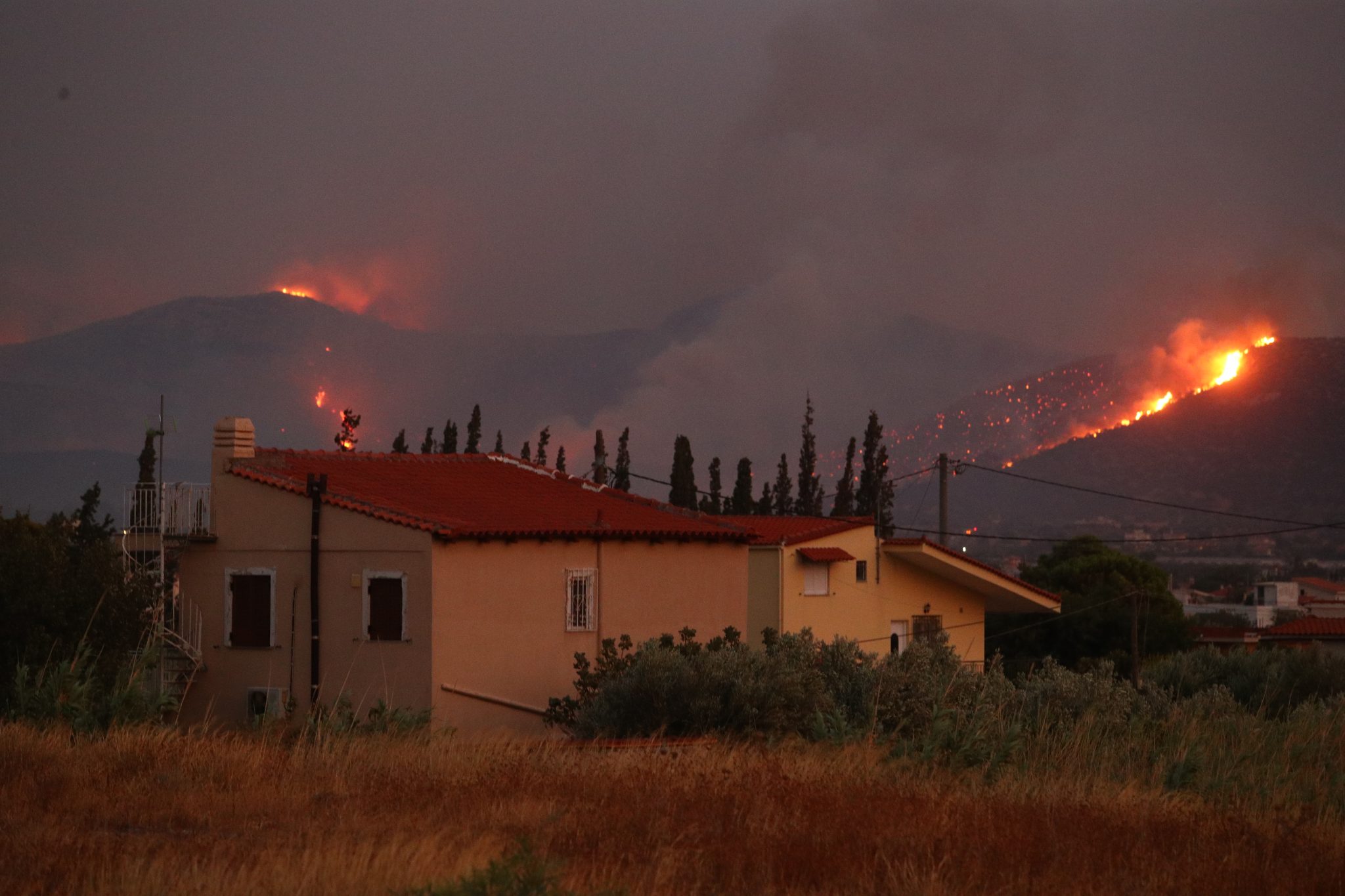 Προσωπικός αριθμός στις νέες ταυτότητες – Τι ισχύει για όσες έχουν ήδη ...