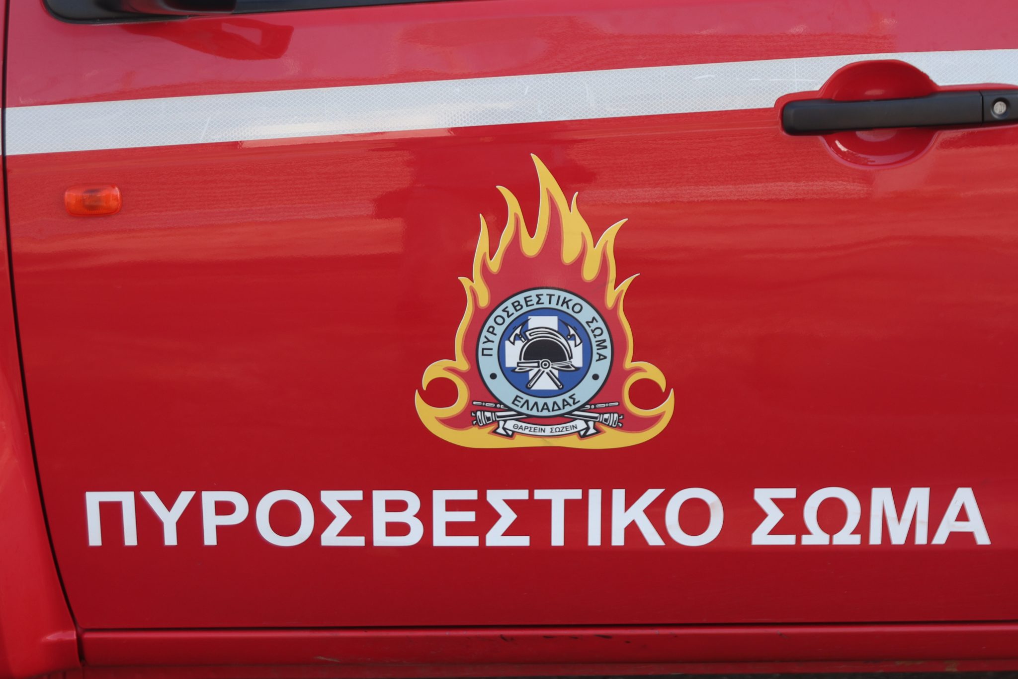 Ειδήσεις και τελευταία νέα για Κατερίνη - ΤΑ ΝΕΑ