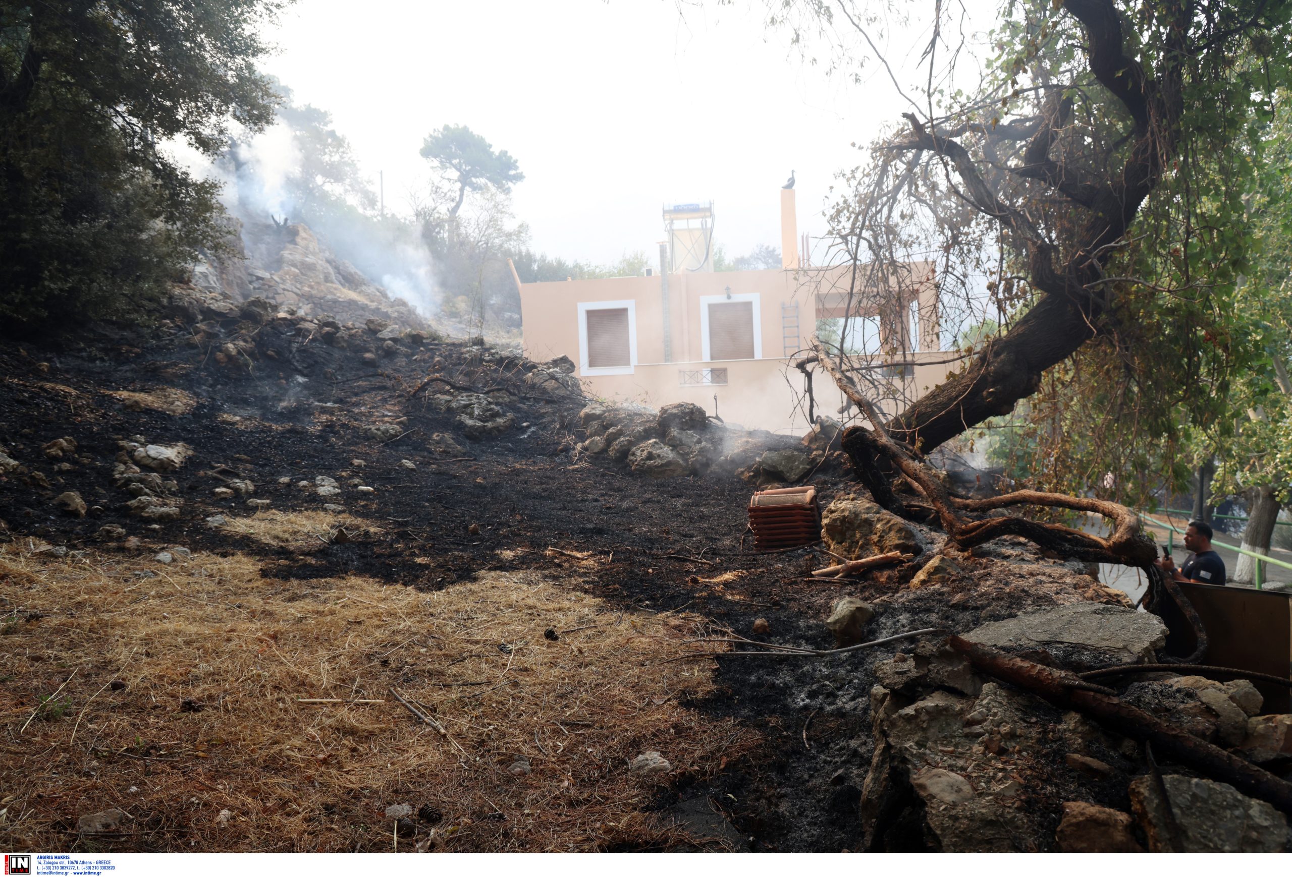Μέσω myAADE οι δηλώσεις απαλλαγής ΕΝΦΙΑ για τις πυρκαγιές του 2025 - ΤΑ ΝΕΑ