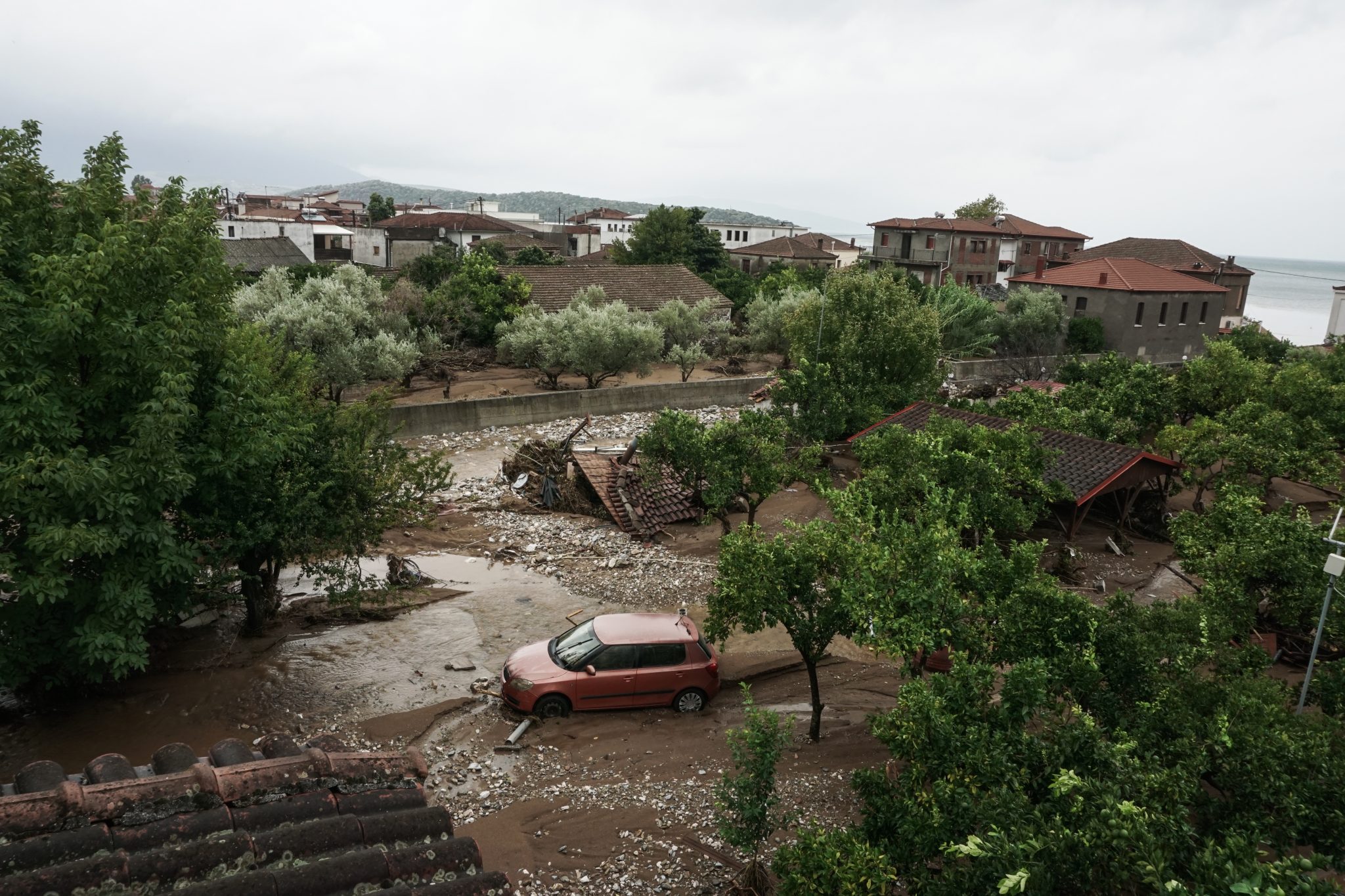 Ειδήσεις και τελευταία νέα για Μαγνησία - ΤΑ ΝΕΑ