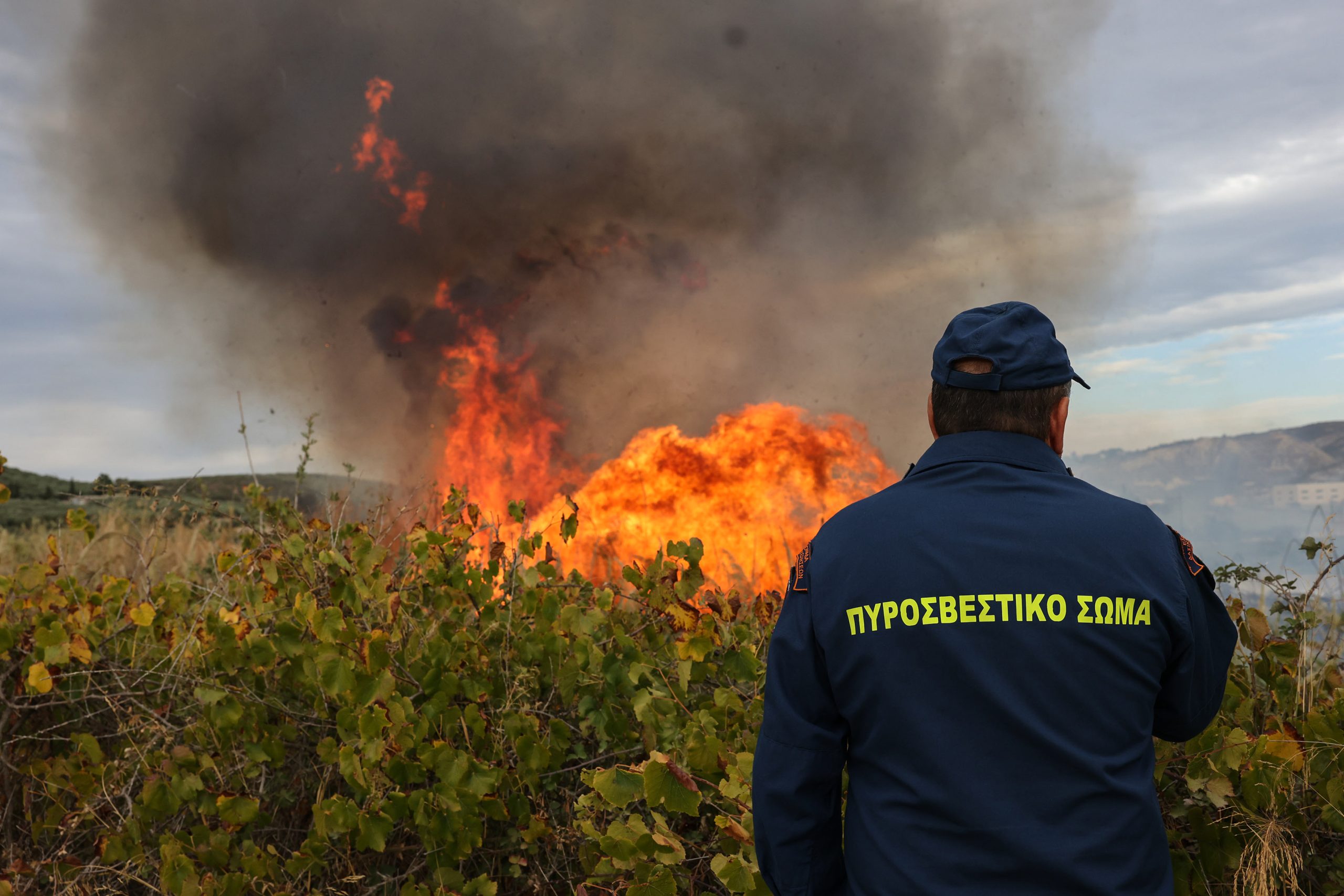 Συναγερμός στην Εύβοια: Πυρκαγιά τώρα κοντά στην Ερέτρια - ΤΑ ΝΕΑ